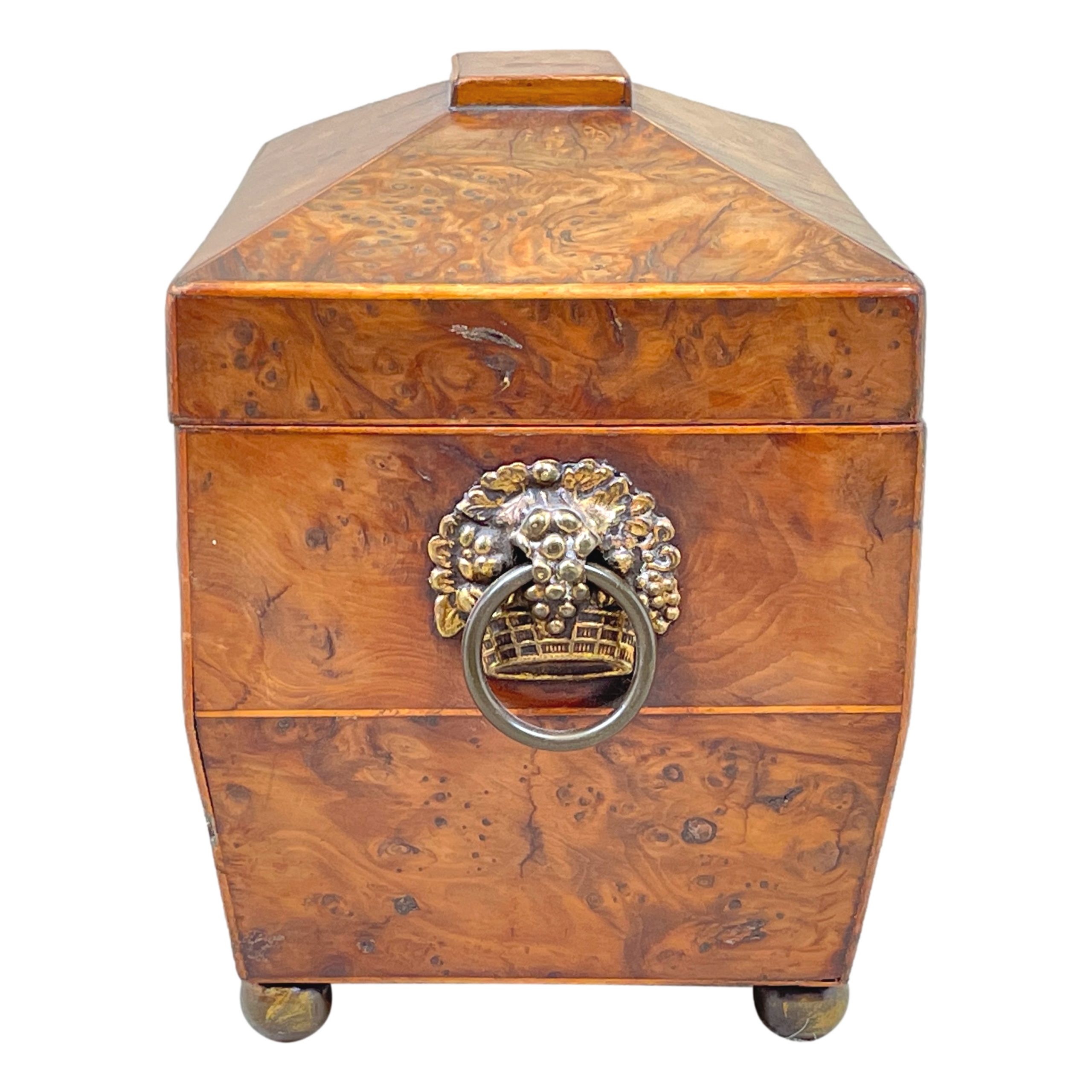 Regency Burr Yew Tea Caddy – S&S Timms Antiques