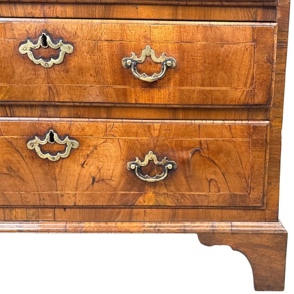 Rare Very Small Georgian Walnut Tallboy – S&S Timms Antiques