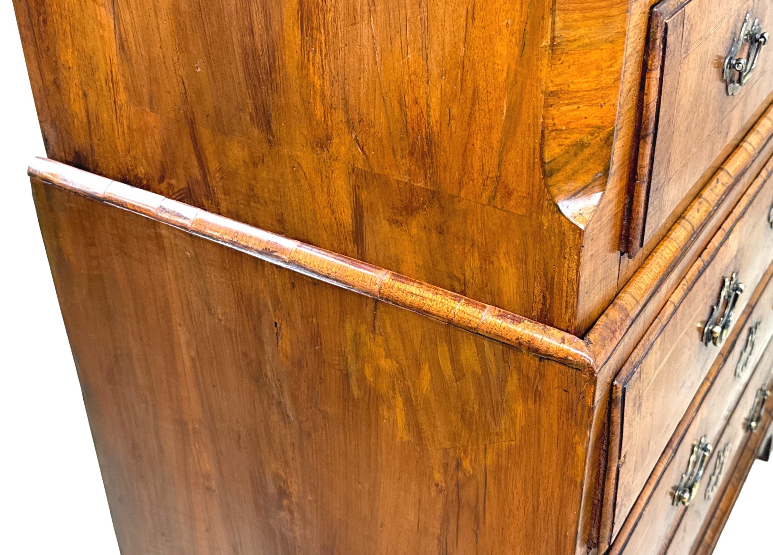 Rare Very Small Georgian Walnut Tallboy – S&S Timms Antiques